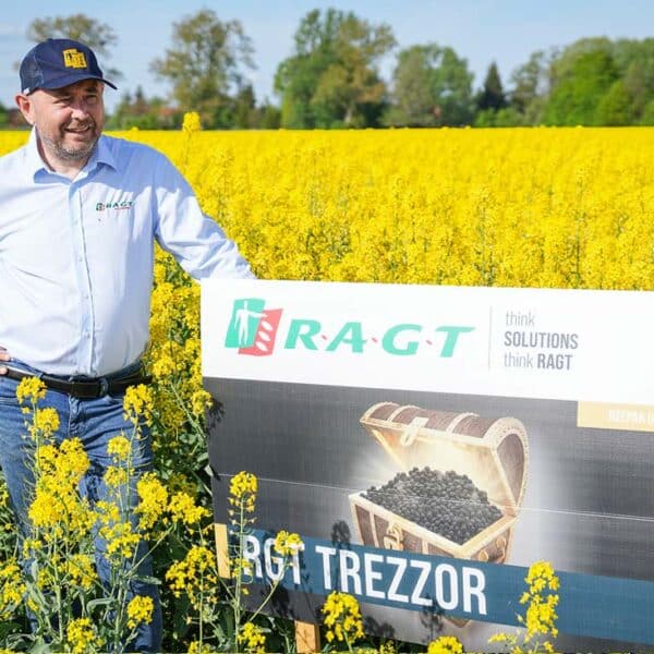 RGT Southwark - Owies ozimy o białym ziarnie i doskonałej jakości ...